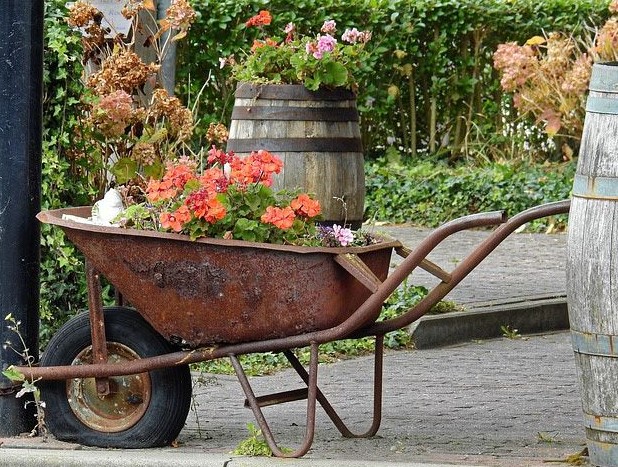 6 easy steps for putting your garden to bed + 2 bonus tips – Welcome to ...