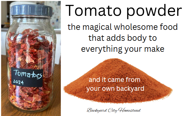 Home Grown Tomatoes – Welcome to my backyard city homestead
